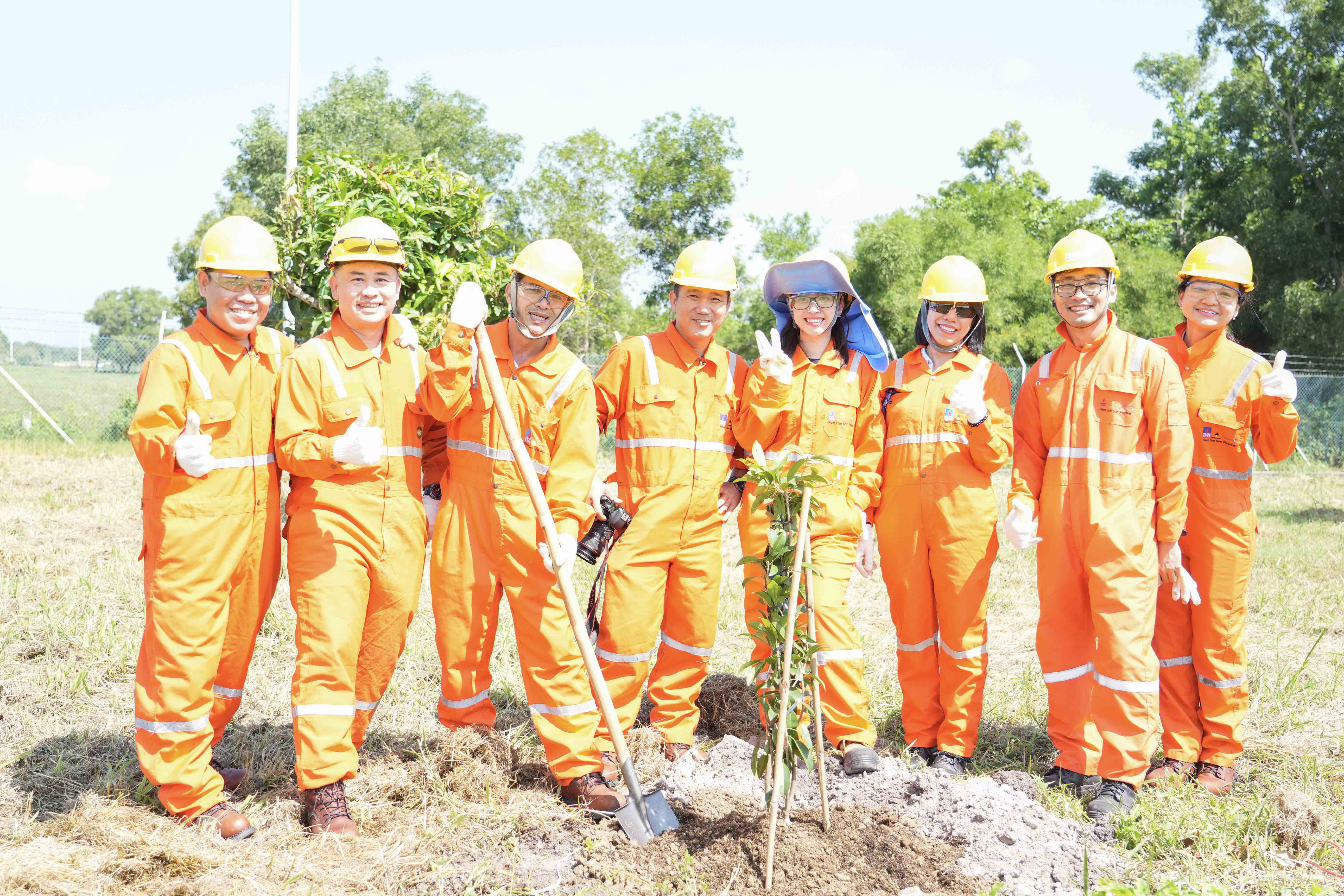 NCSP và PV GAS D chung tay phủ xanh không gian sống